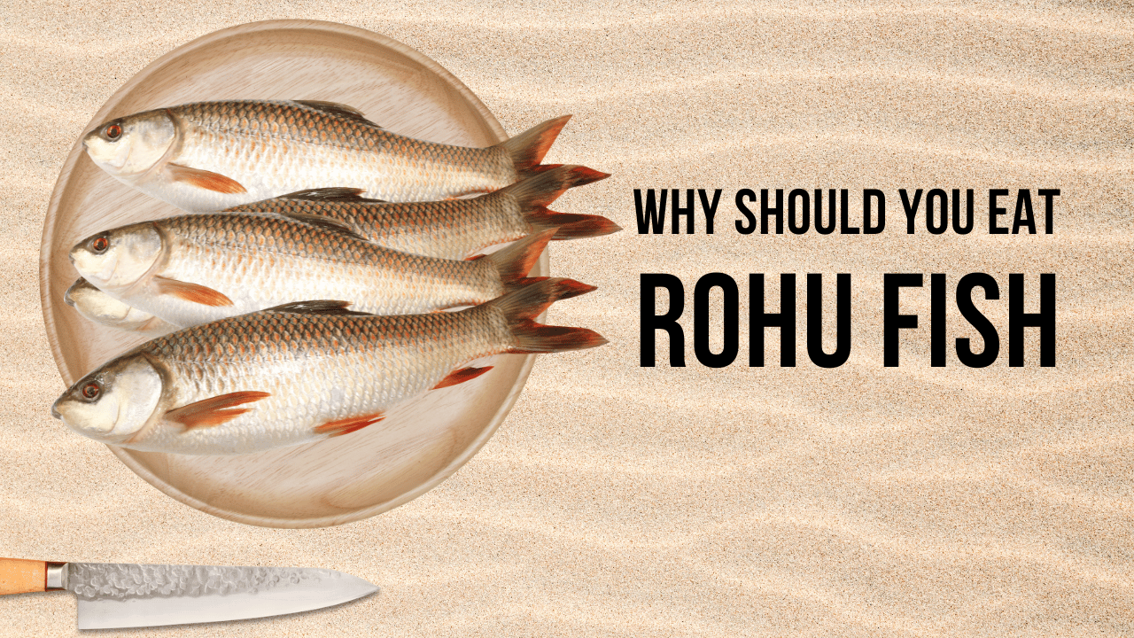 Why Should You Eat Rohu Fish: Rohu Fish Benefits - Find Health Tips